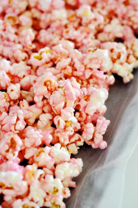 Pink Popcorn | lark & linen